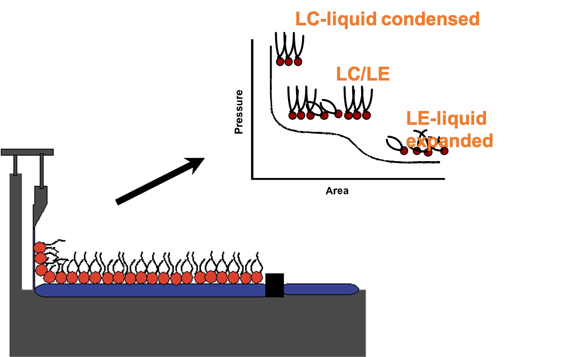 Langmuir-Blodgett Films | Dunn Research Group